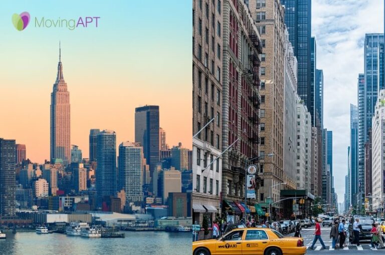 7 Things To Do After Moving To A New State | Moving APT